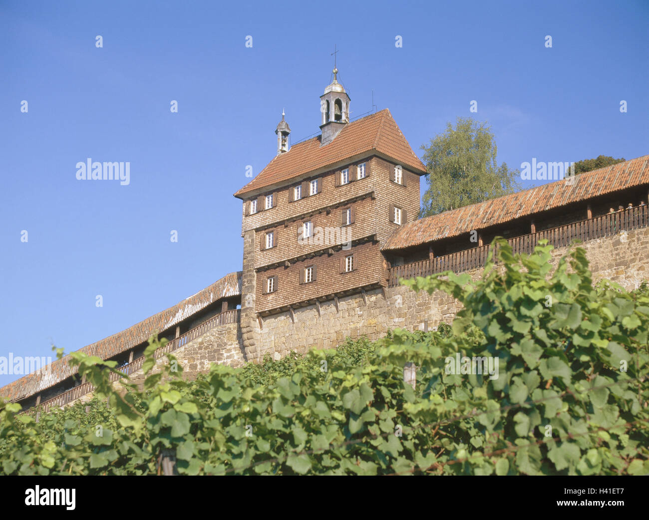 Coscia alta immagini e fotografie stock ad alta risoluzione - Alamy