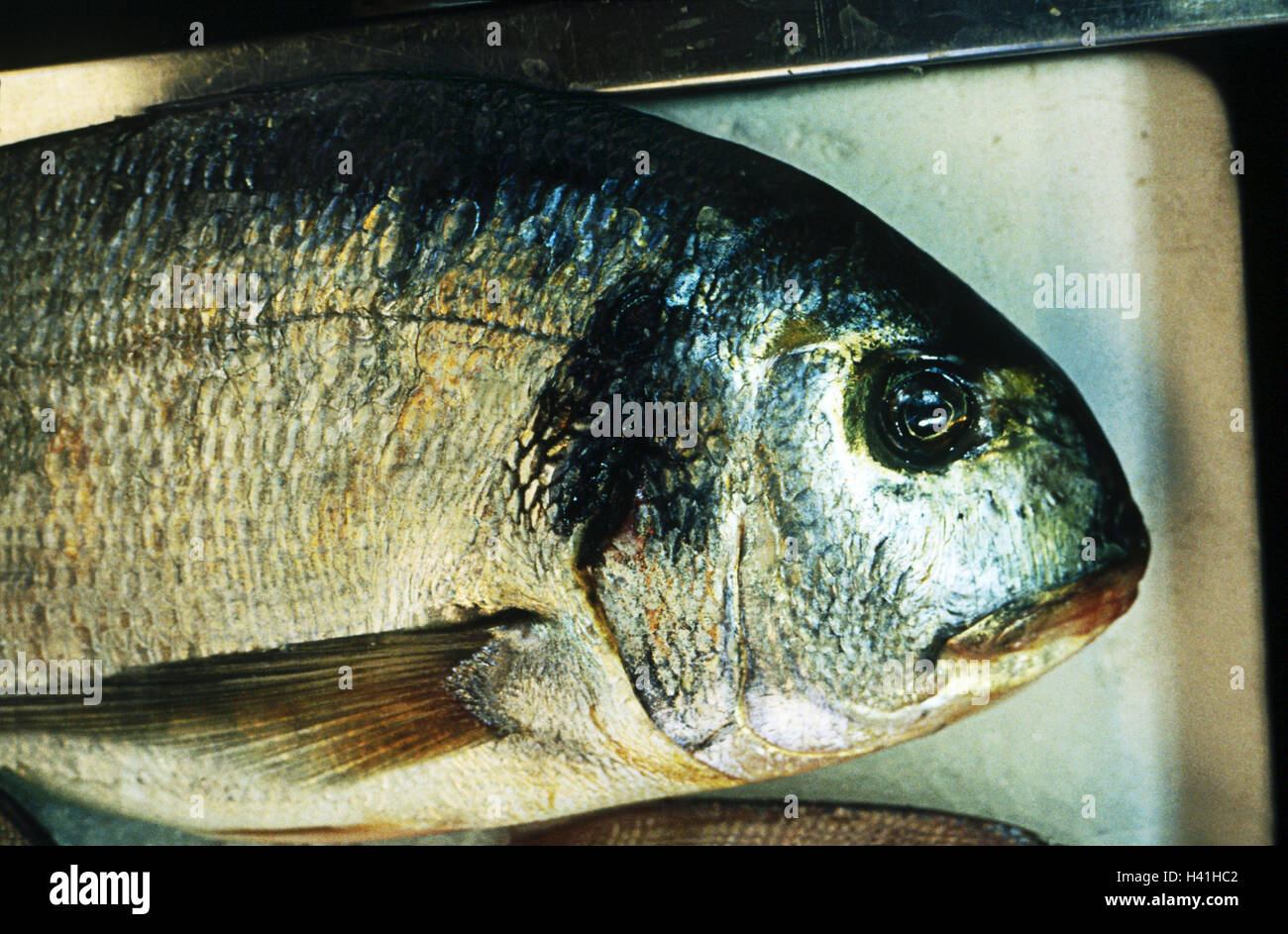 Mercato del pesce in legno Immagini e Fotos Stock - Alamy