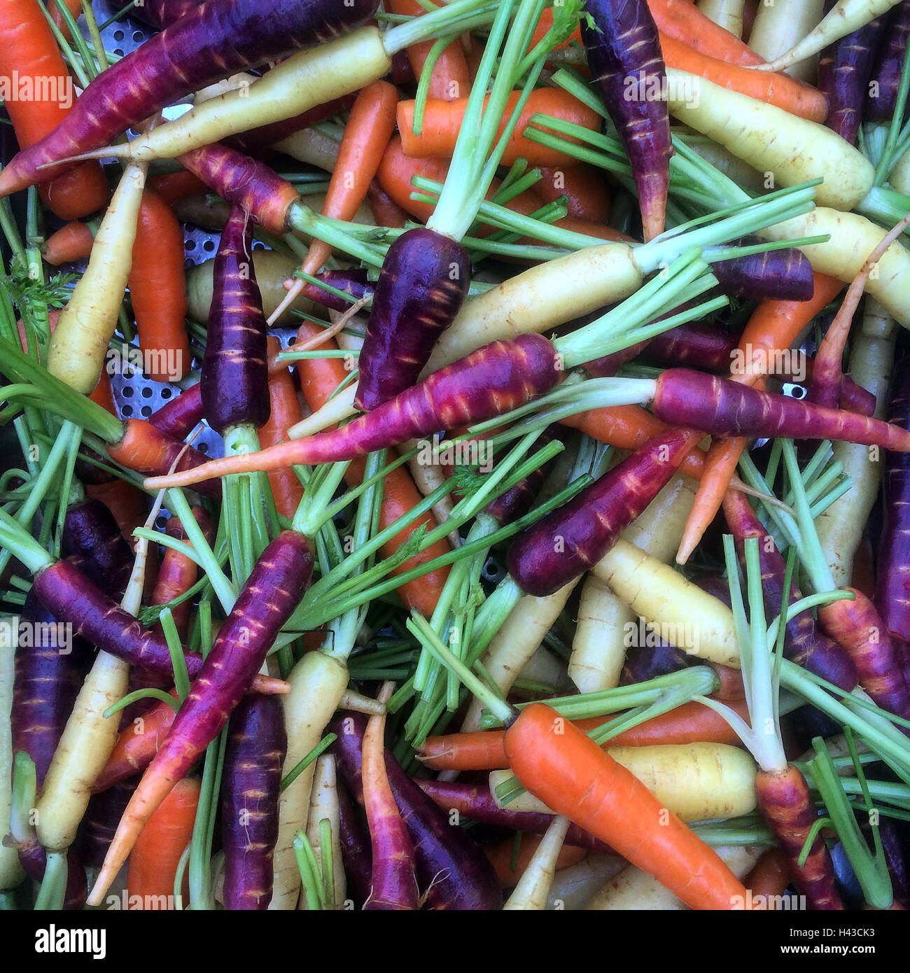 Carote colorate immagini e fotografie stock ad alta risoluzione - Alamy