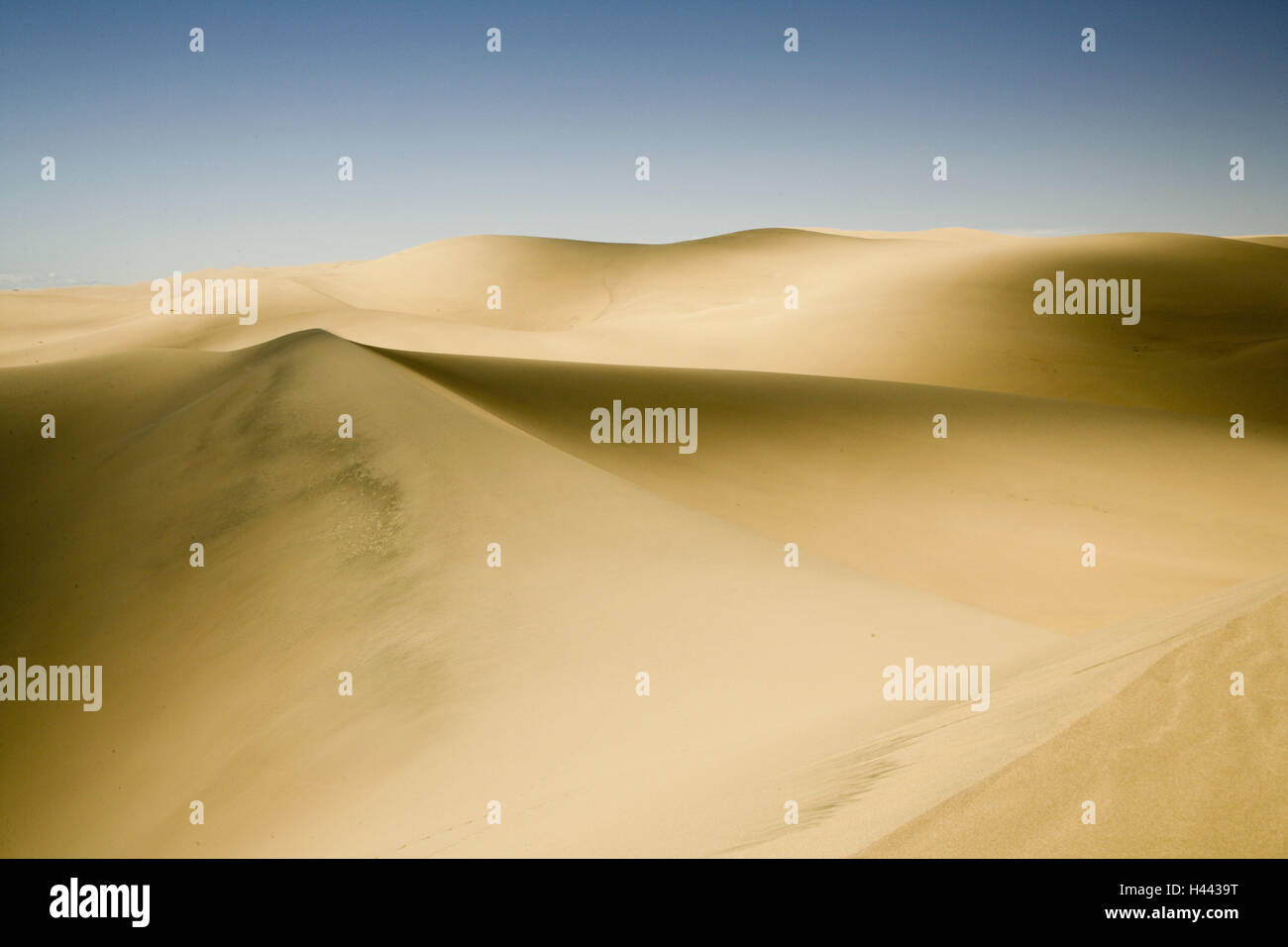 Dune 7 namibia immagini e fotografie stock ad alta risoluzione - Alamy