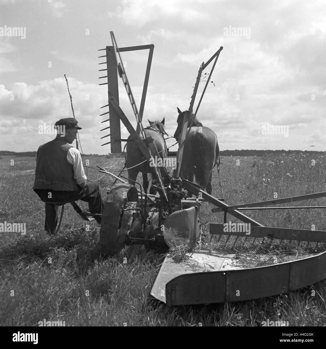 Bauer mit seinem Pferd auf seinem Acker in Masuren in Ostpreußen ...