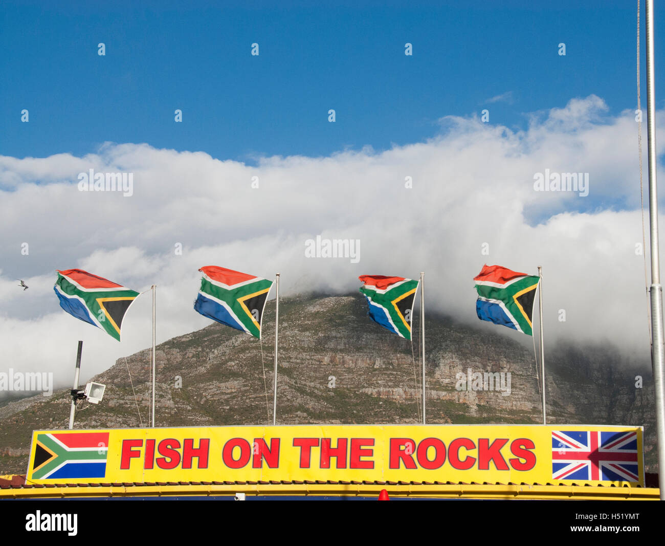 Pesce iconica sulle rocce con South African bandiere soffiando nel ...