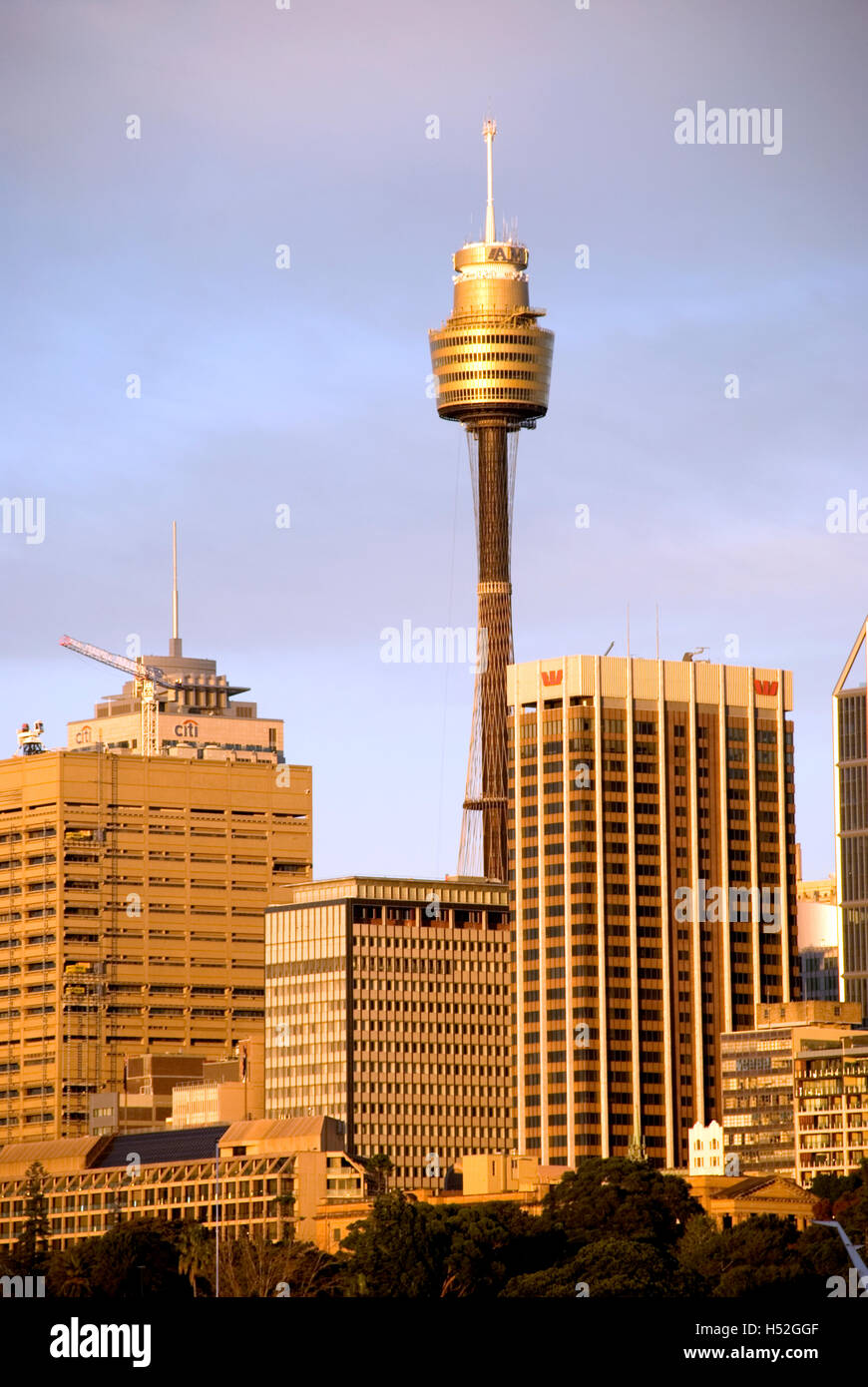 Torre centrepoint di westfield immagini e fotografie stock ad alta ...