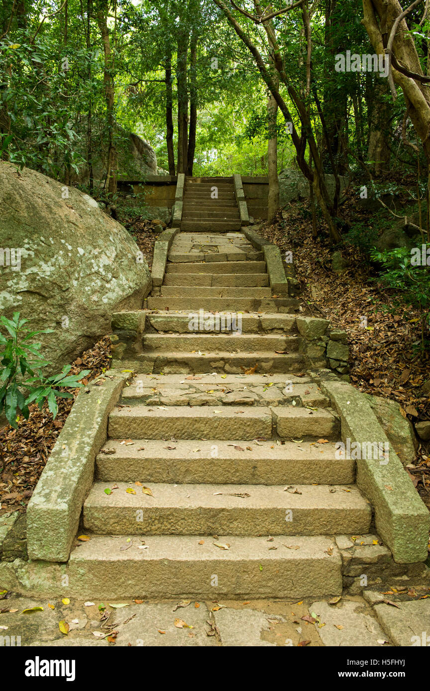 Ritigala forest monastery immagini e fotografie stock ad alta ...