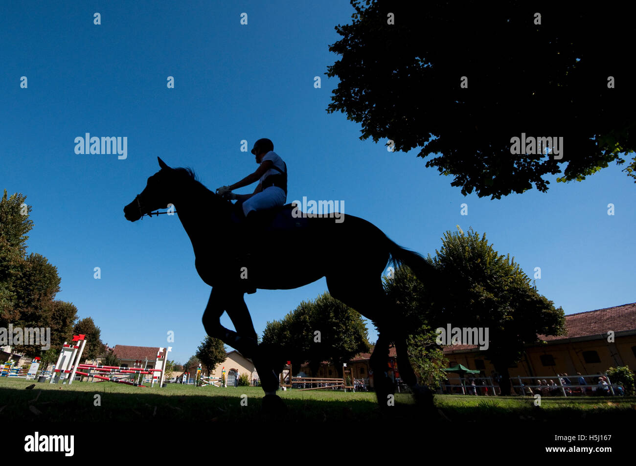 Sagoma di cavallo e cavaliere immagini e fotografie stock ad alta ...