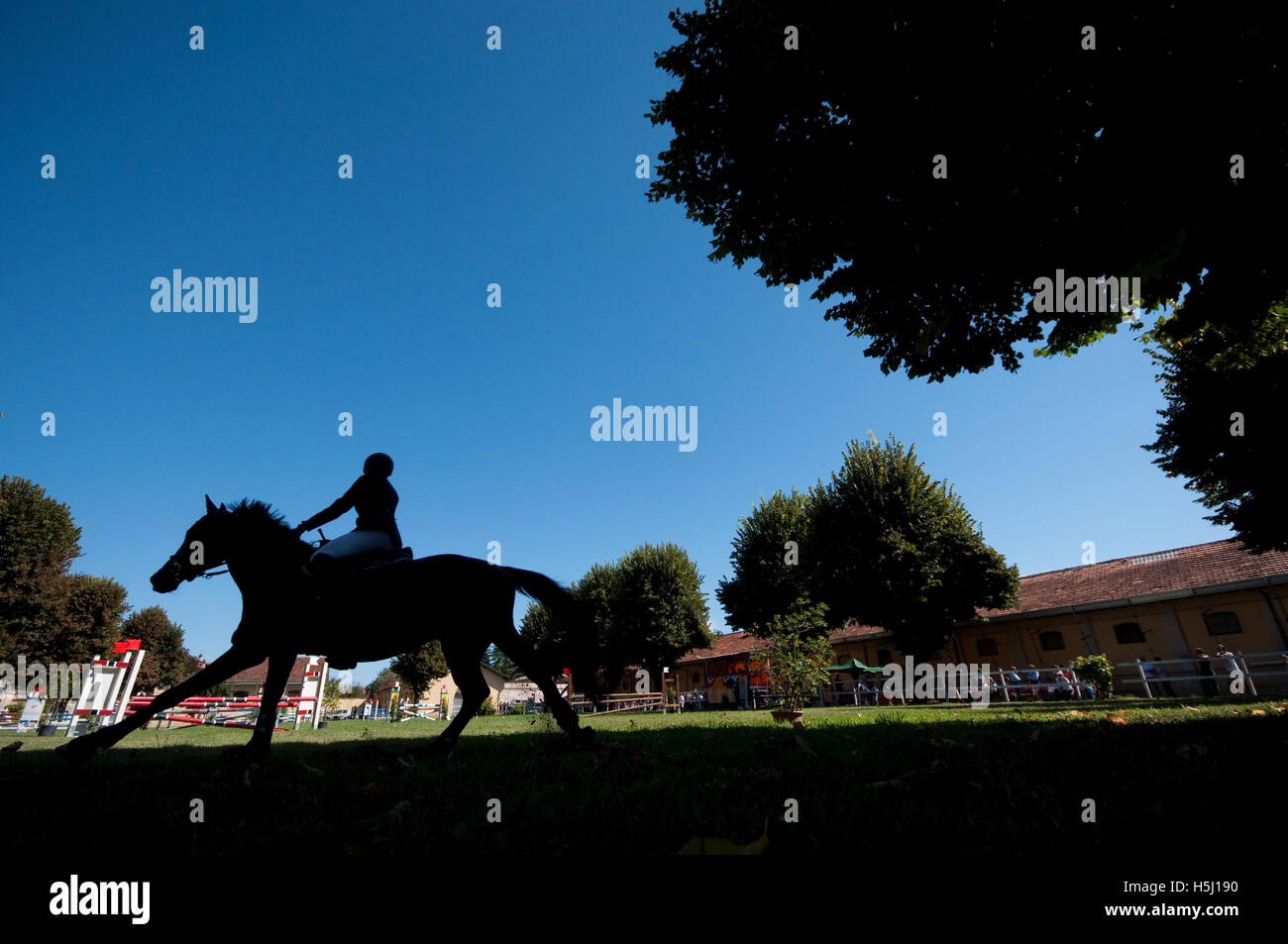 Sagoma di cavallo e cavaliere immagini e fotografie stock ad alta ...