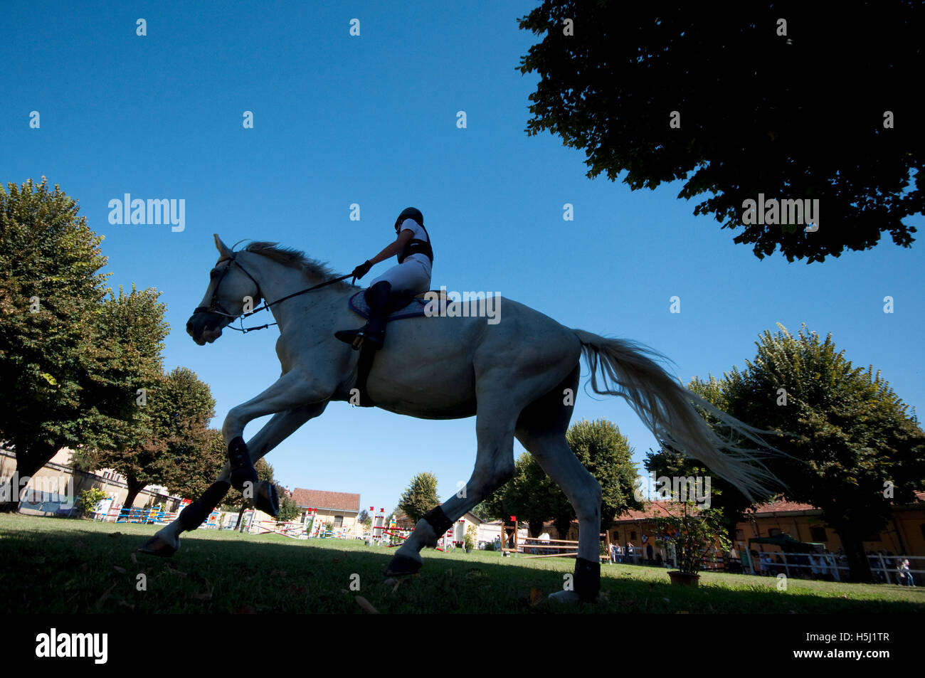 Sagoma di cavallo e cavaliere immagini e fotografie stock ad alta ...