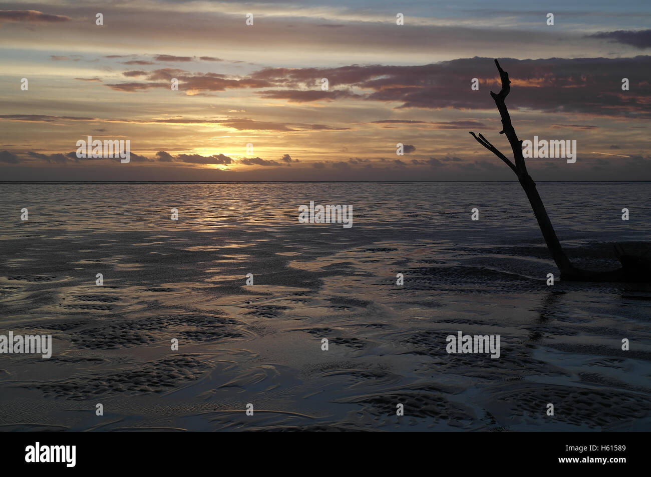 Spiaggia 1 distesa piatta vista di sfondo a sinistra immagini e ...