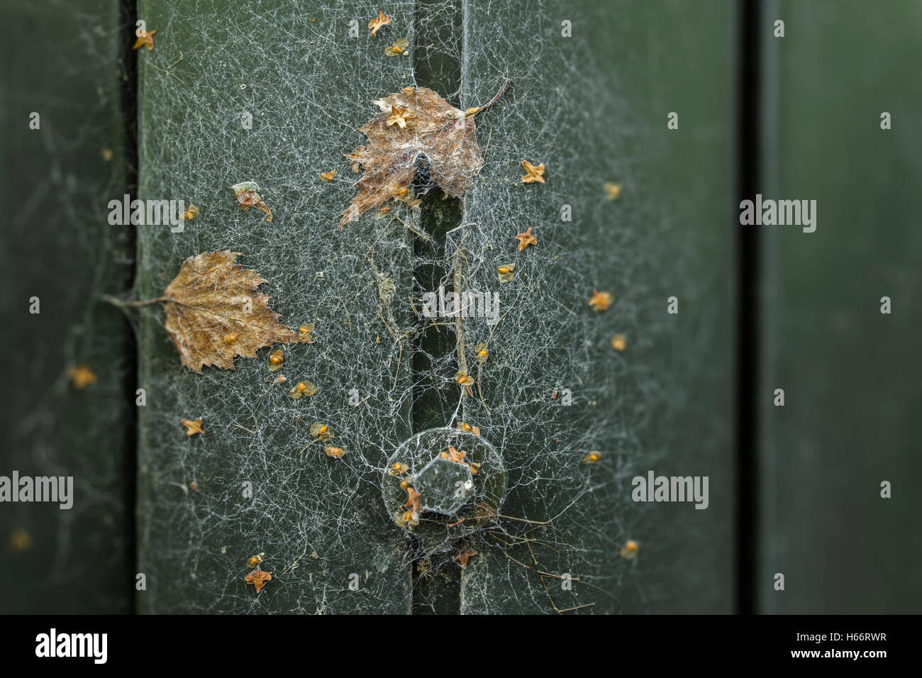 Semi intrappolati immagini e fotografie stock ad alta risoluzione - Alamy