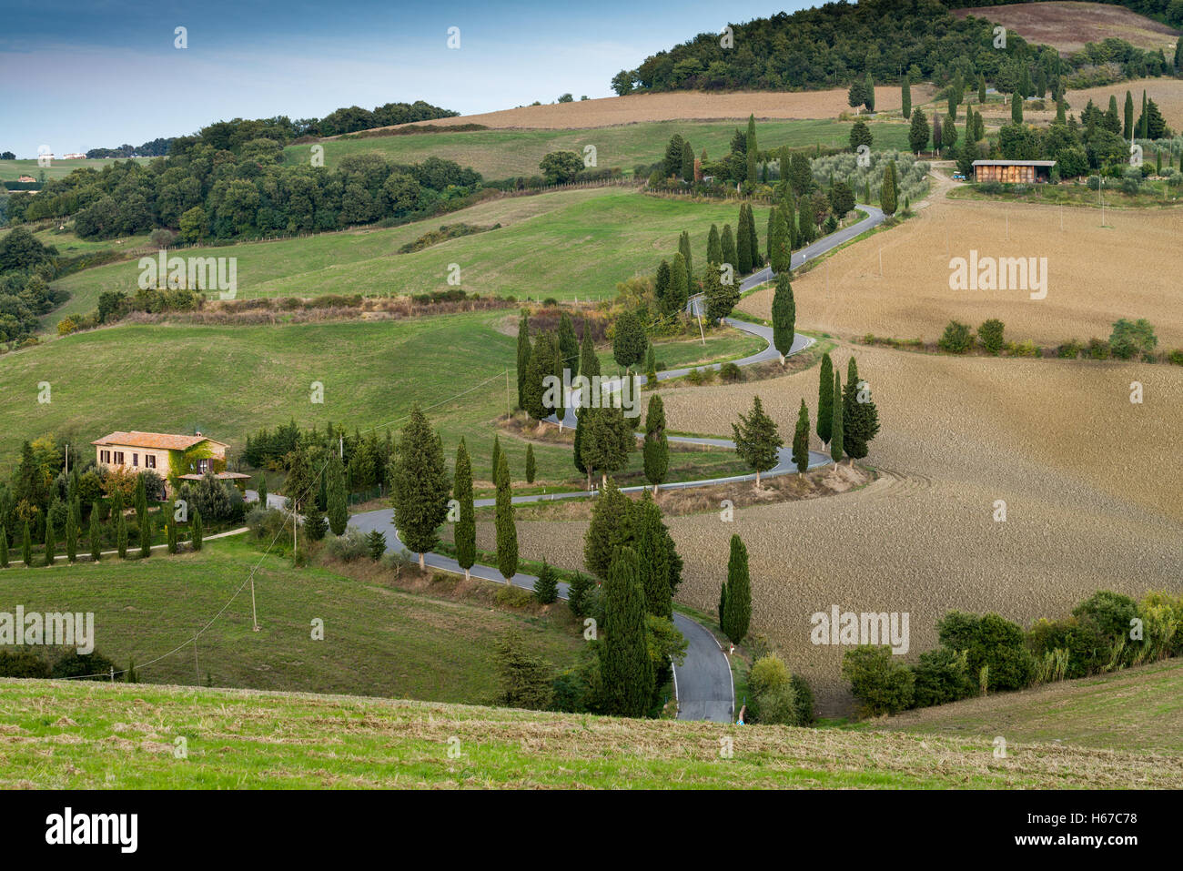 Cipressi lungo una strada con curve in Toscana nei pressi di ...
