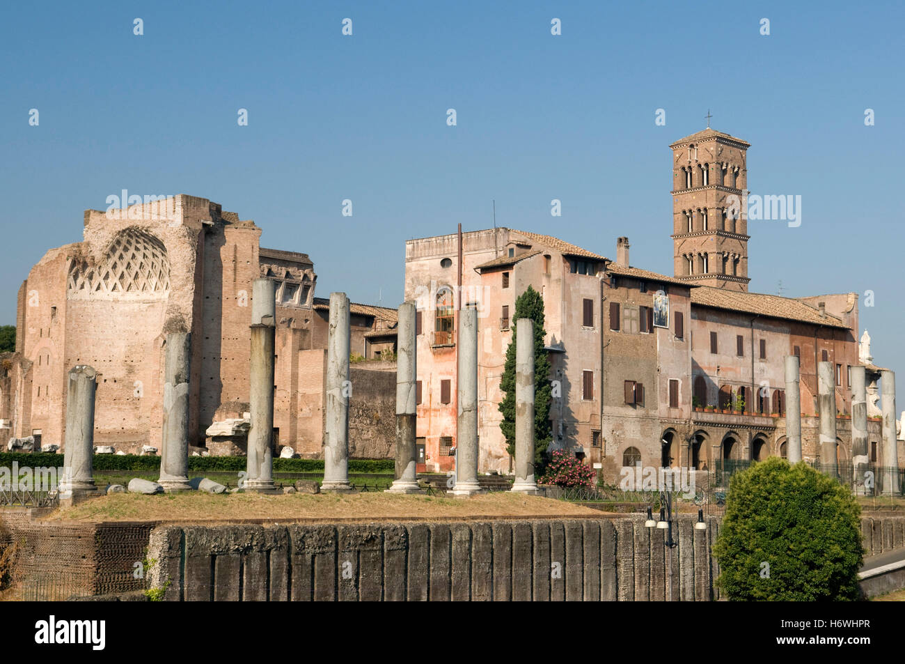 Chiesa di Santa Francesca Romana e il Tempio di Venere e Roma nel Forum ...