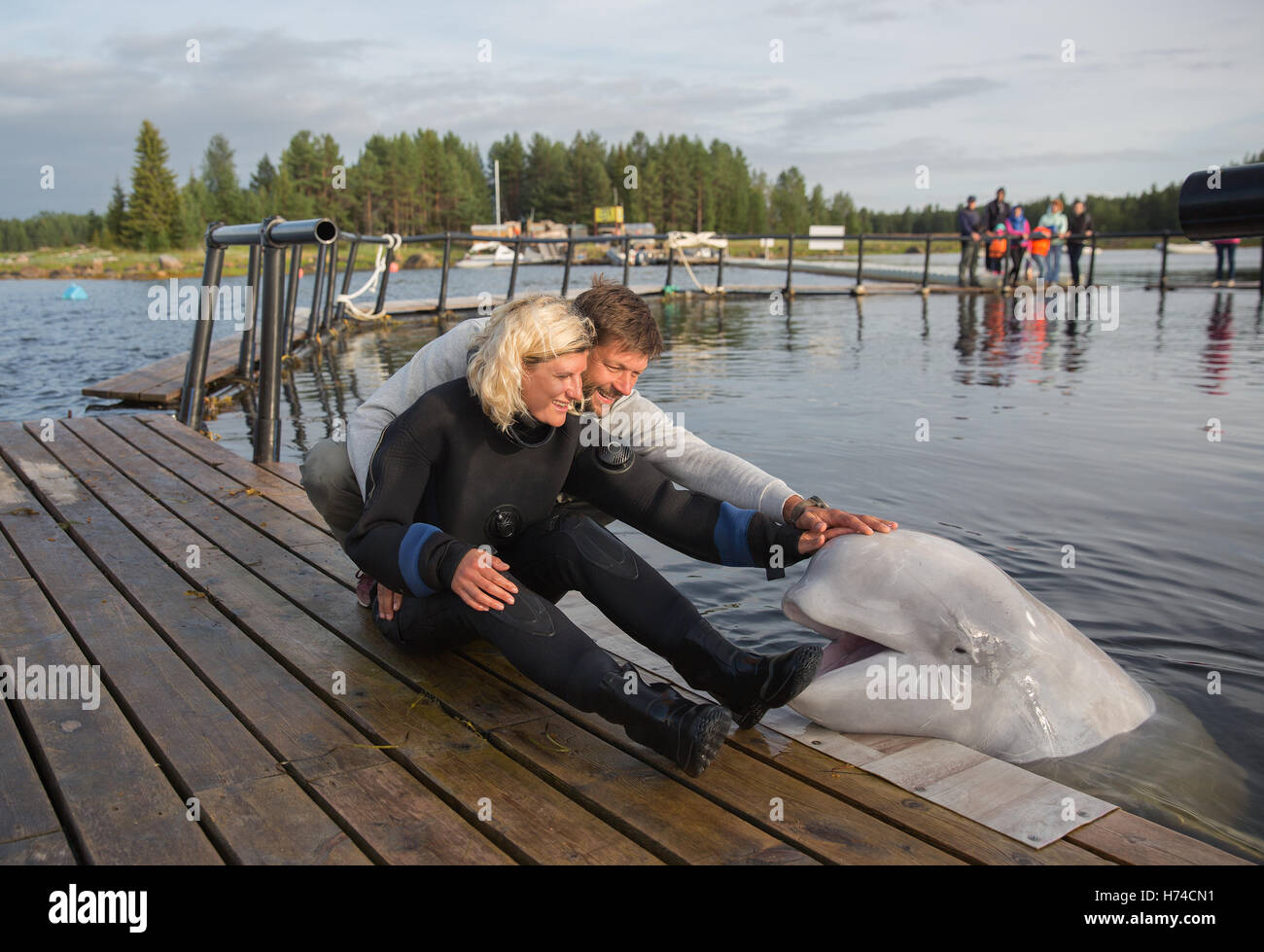 Balena bianca immagini e fotografie stock ad alta risoluzione - Alamy