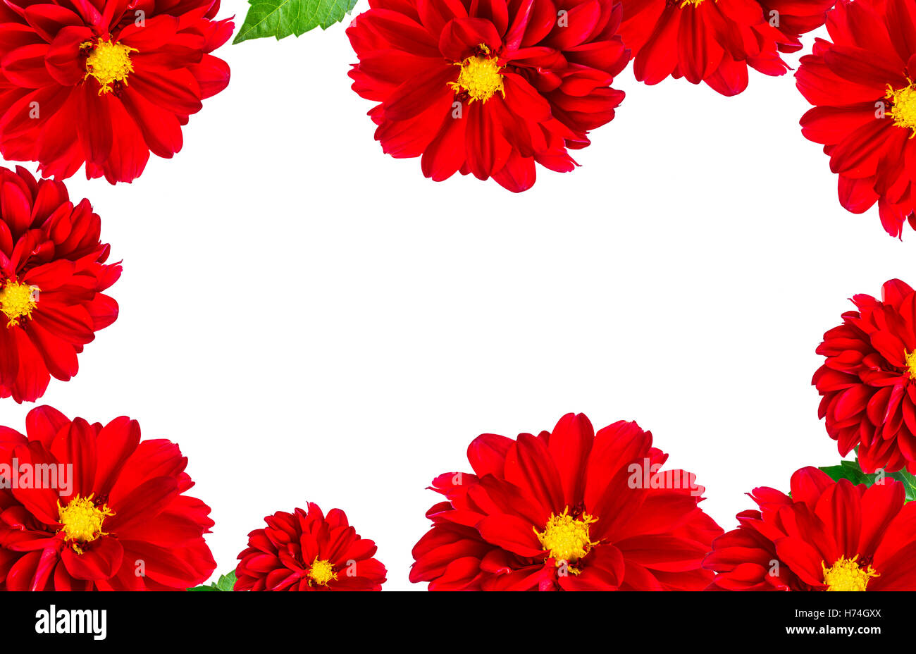 Fiore cornice immagini e fotografie stock ad alta risoluzione - Alamy