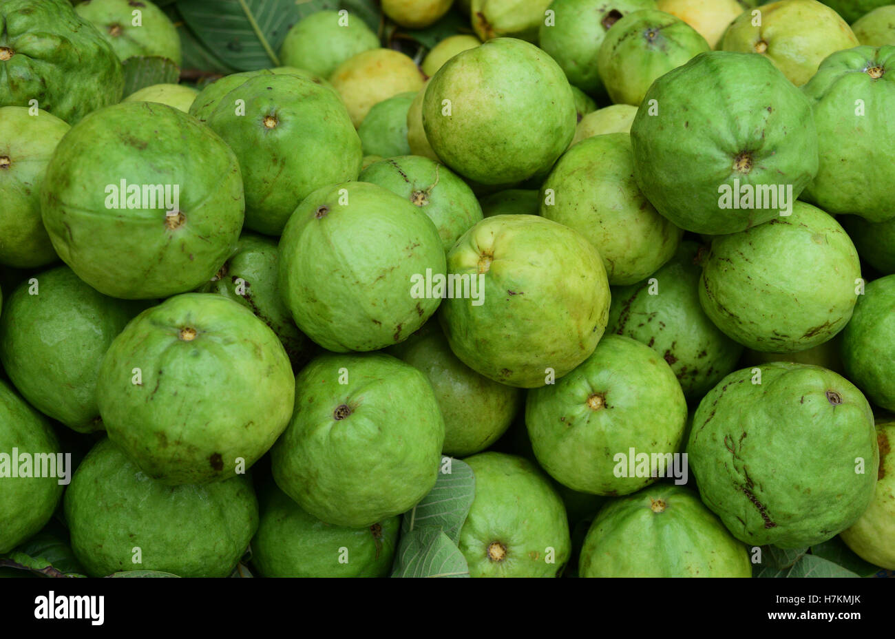 Frutta guava di vendita immagini e fotografie stock ad alta risoluzione ...