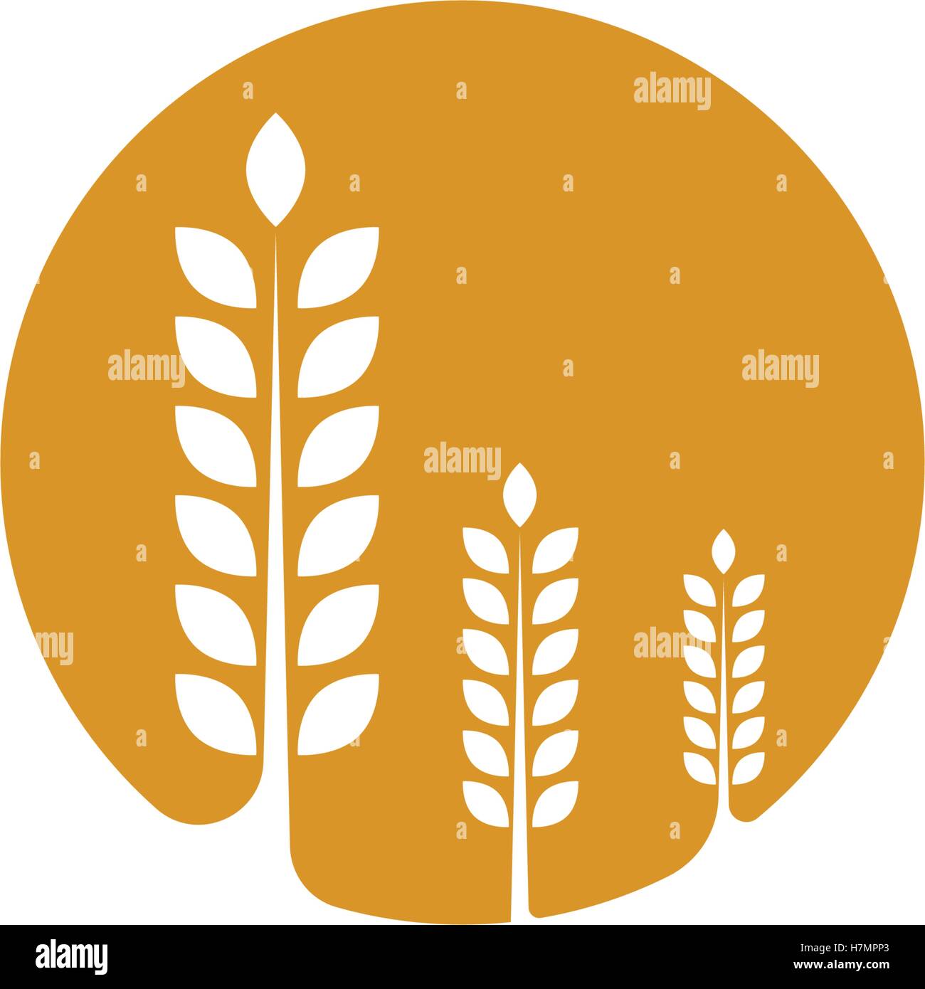 Logo di spiga di grano immagini e fotografie stock ad alta risoluzione ...