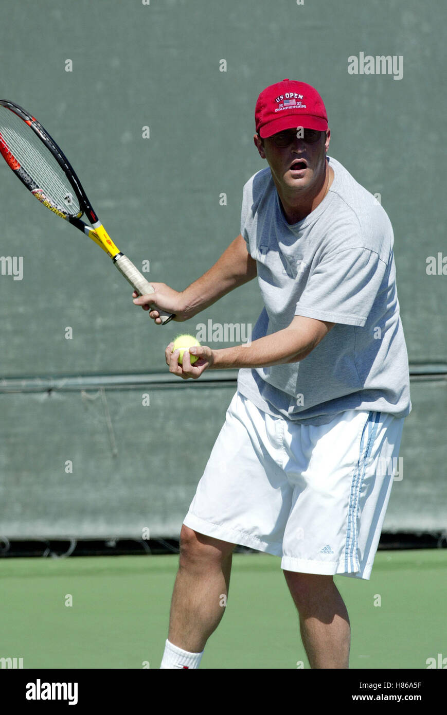 Matthew perry 1st celebrity tennis immagini e fotografie stock ad alta ...