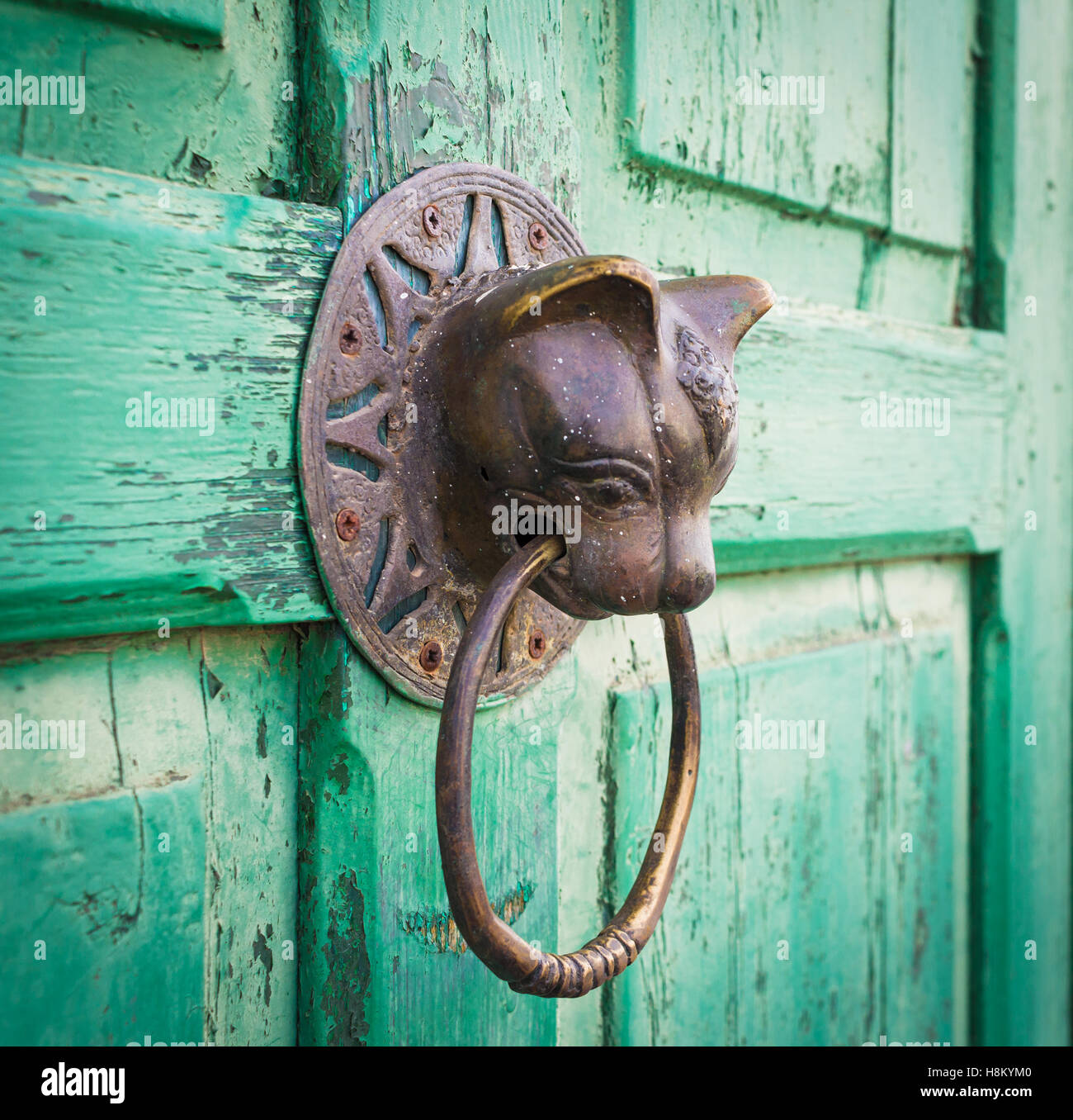 Entrata del gatto immagini e fotografie stock ad alta risoluzione - Alamy