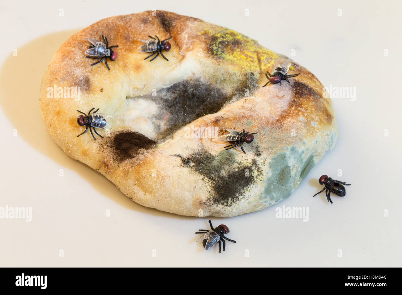 Muffa del pane nero immagini e fotografie stock ad alta risoluzione - Alamy
