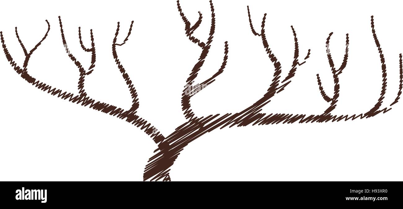 Ramo di albero del disegno a mano icona isolato Immagine e Vettoriale ...
