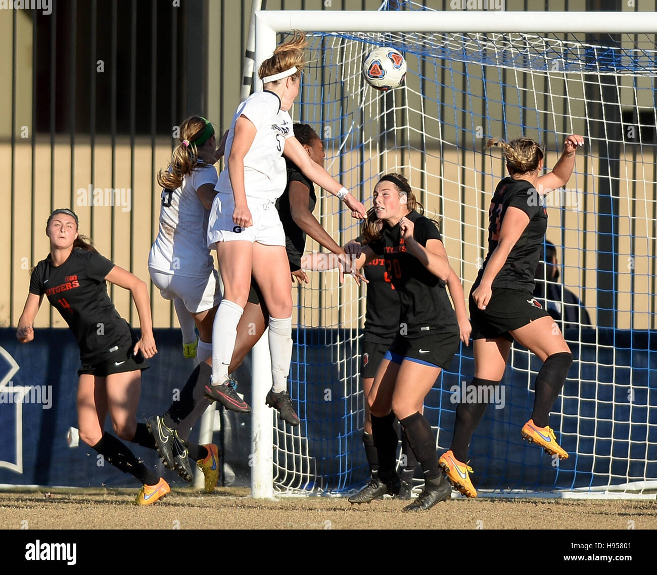 Teste rotonde di cavalieri immagini e fotografie stock ad alta ...