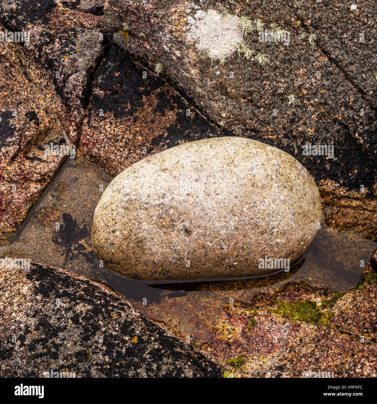 Scenico cornovaglia porth nanven immagini e fotografie stock ad alta risoluzione - Alamy