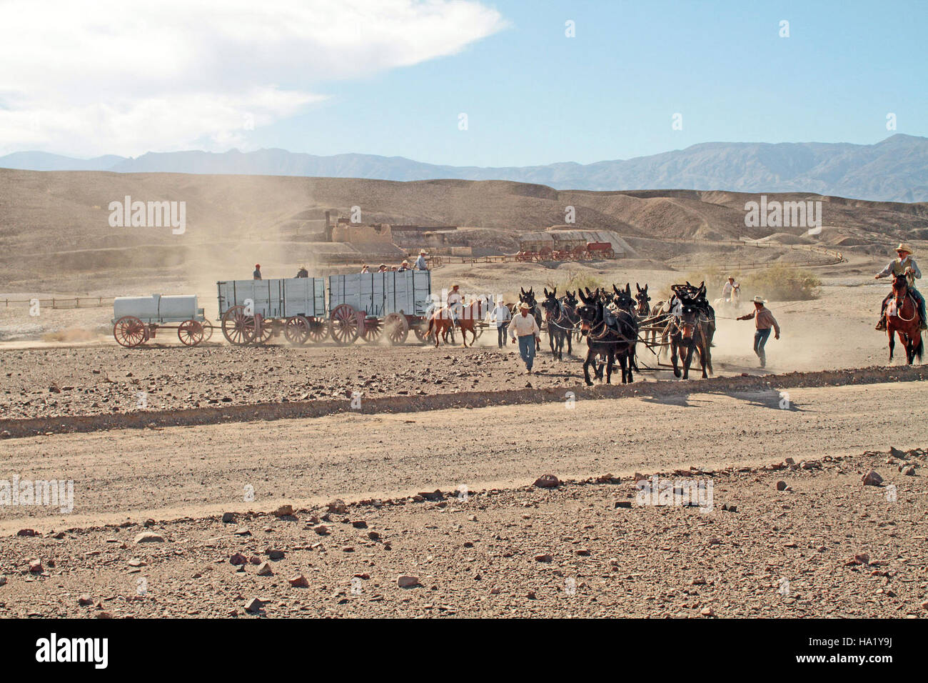 Mulo che gira immagini e fotografie stock ad alta risoluzione - Alamy
