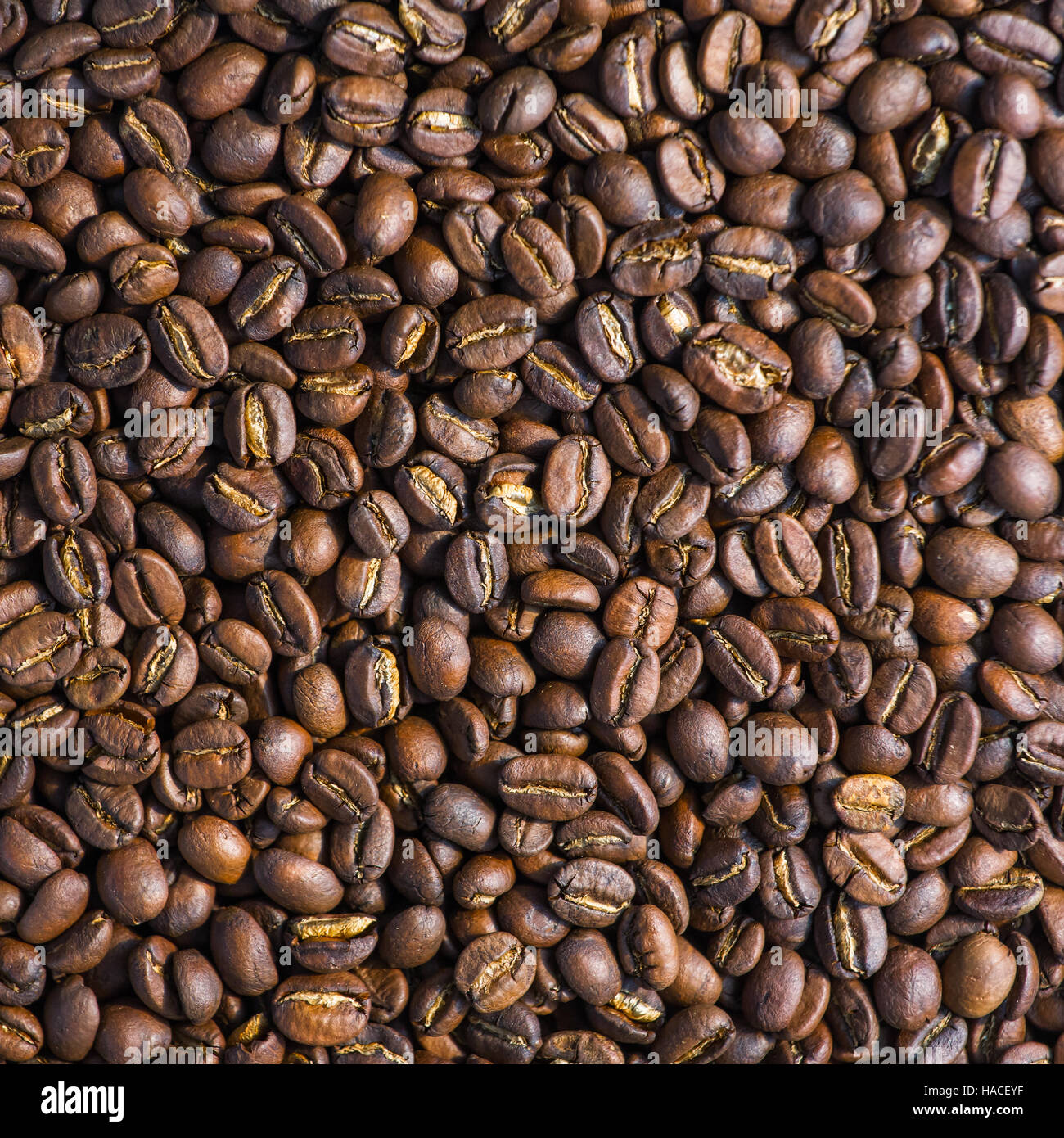 Chicchi di caffè torrefatto immagini e fotografie stock ad alta ...