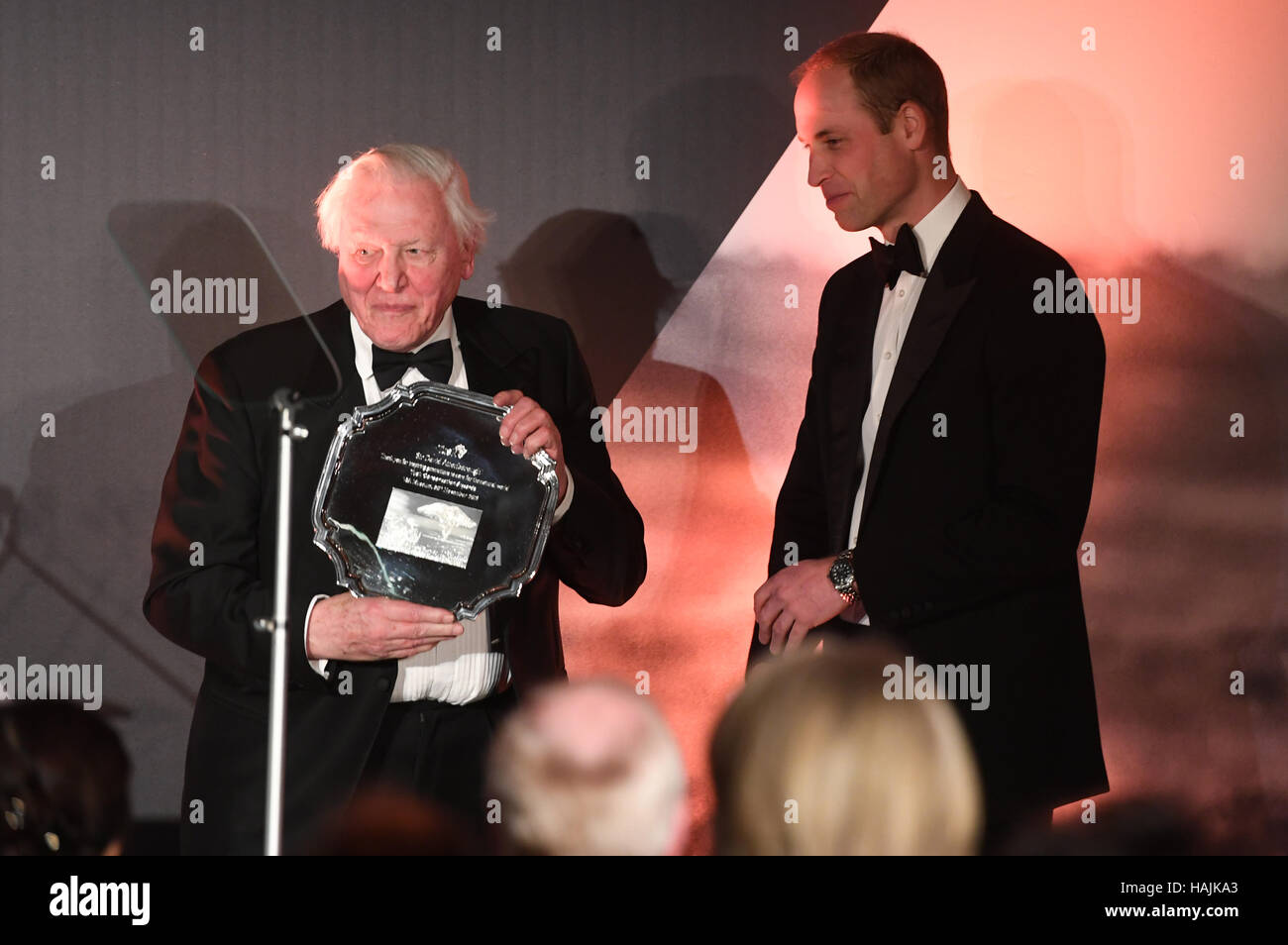 Il Duca di Cambridge presenta sir David Attenborough un premio per i ...