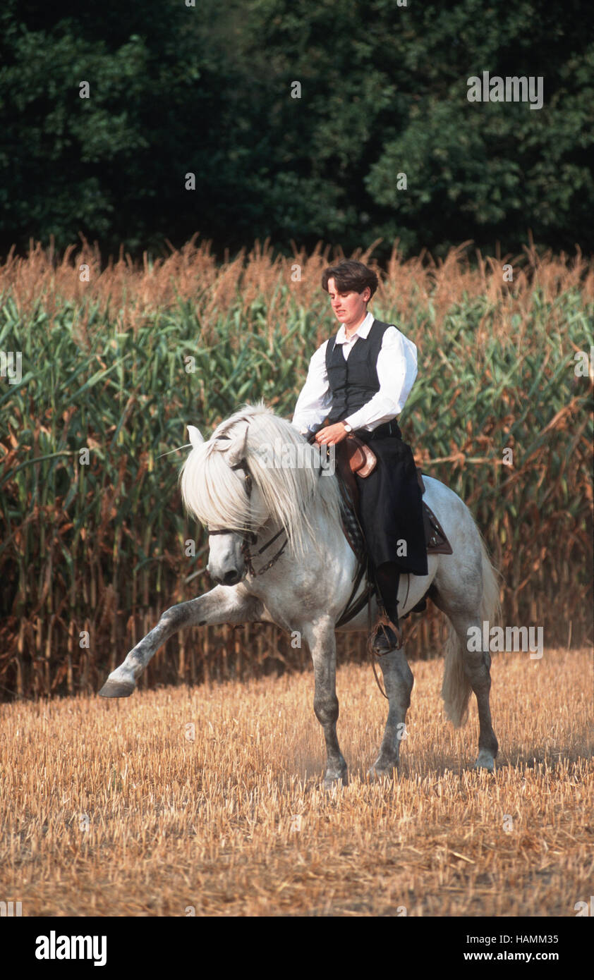 Cavaliere francese immagini e fotografie stock ad alta risoluzione - Alamy