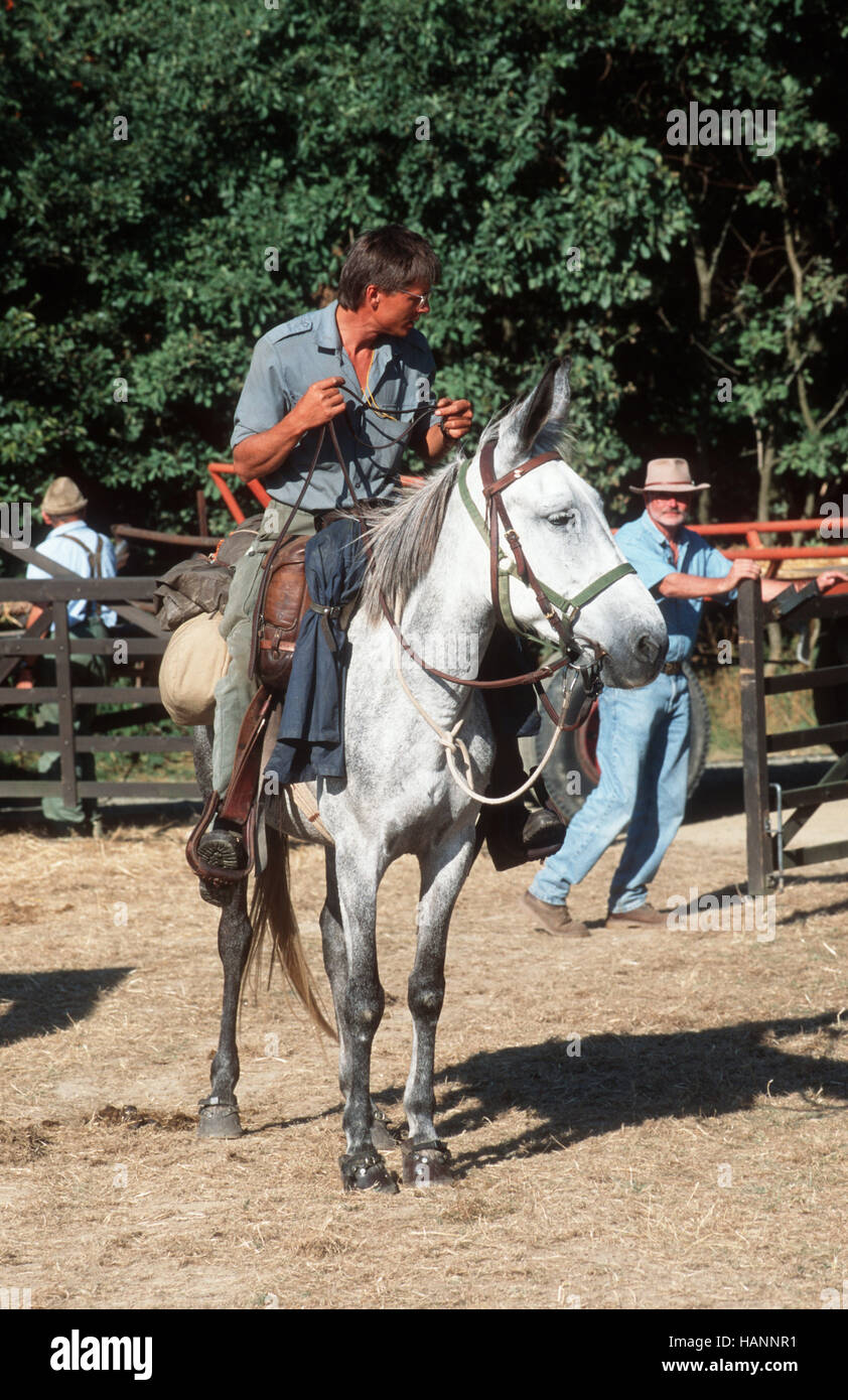 Mulo di equitazione donna immagini e fotografie stock ad alta ...