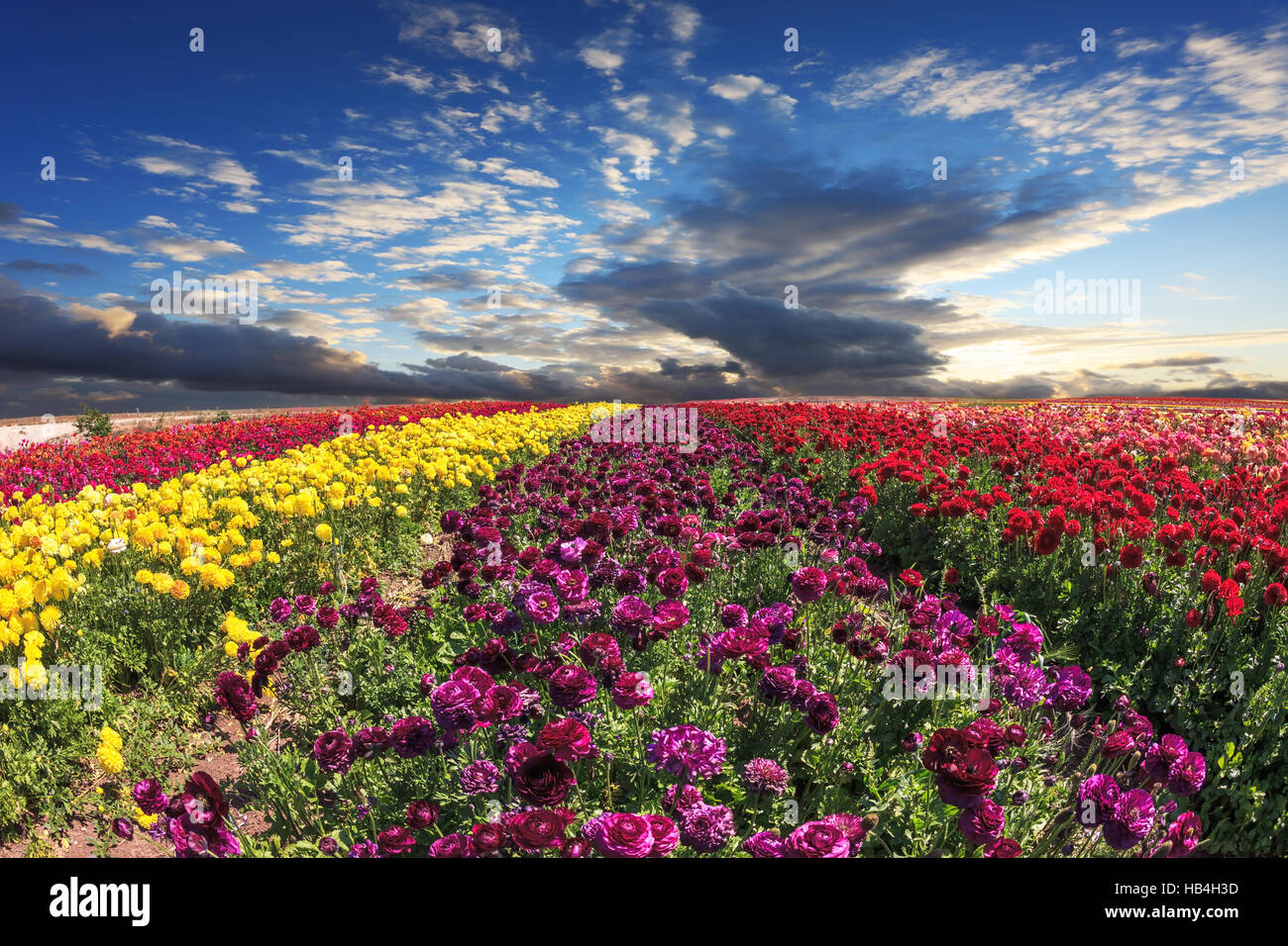 Parco eolico di primavera immagini e fotografie stock ad alta ...