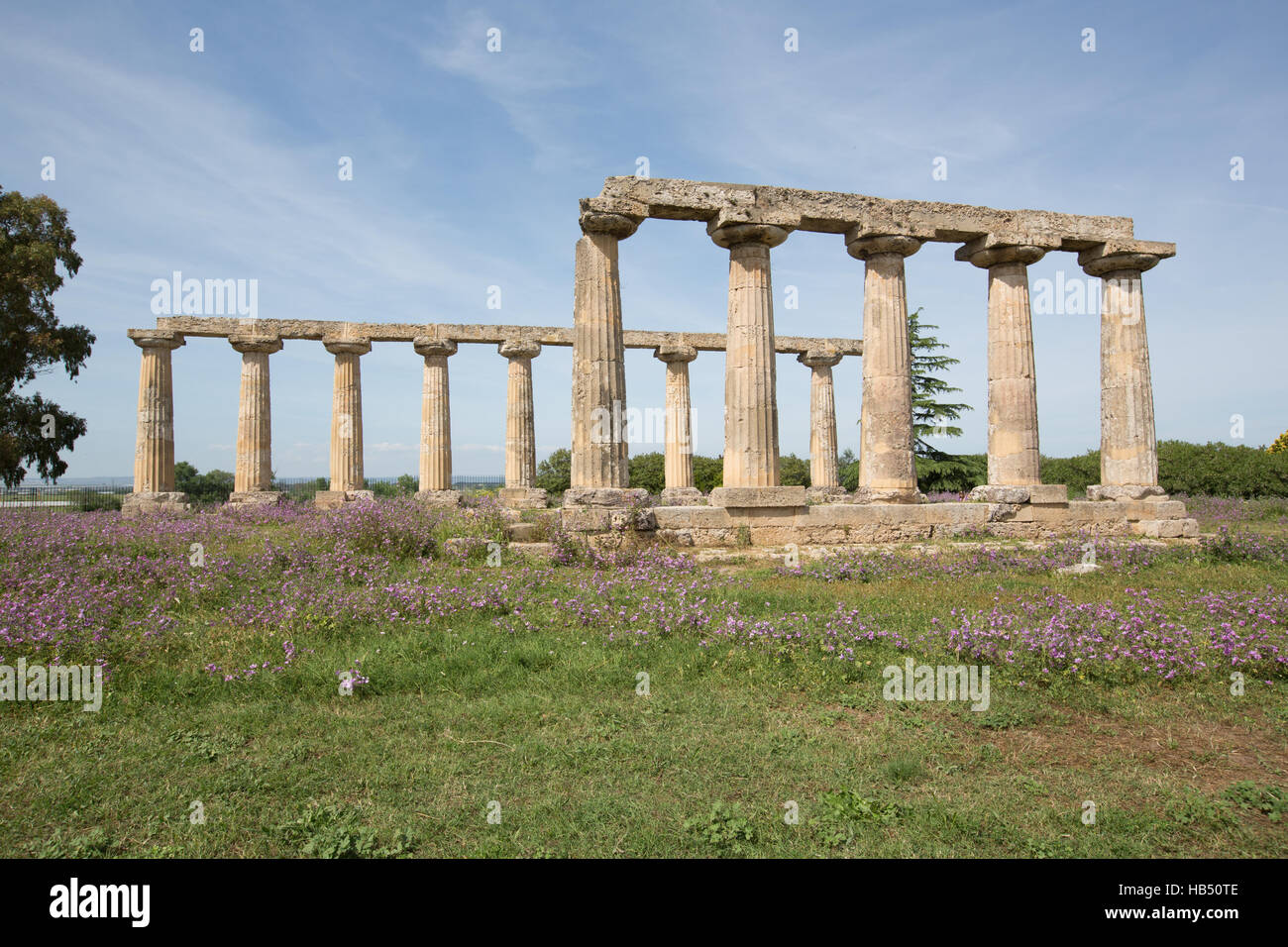 Tavole palatine immagini e fotografie stock ad alta risoluzione - Alamy