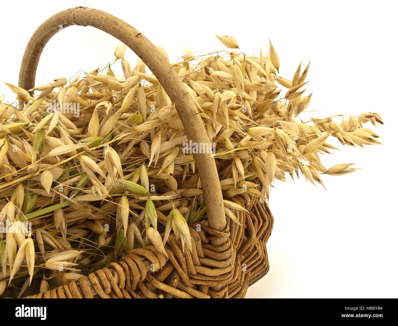 Spiga avena immagini e fotografie stock ad alta risoluzione - Alamy