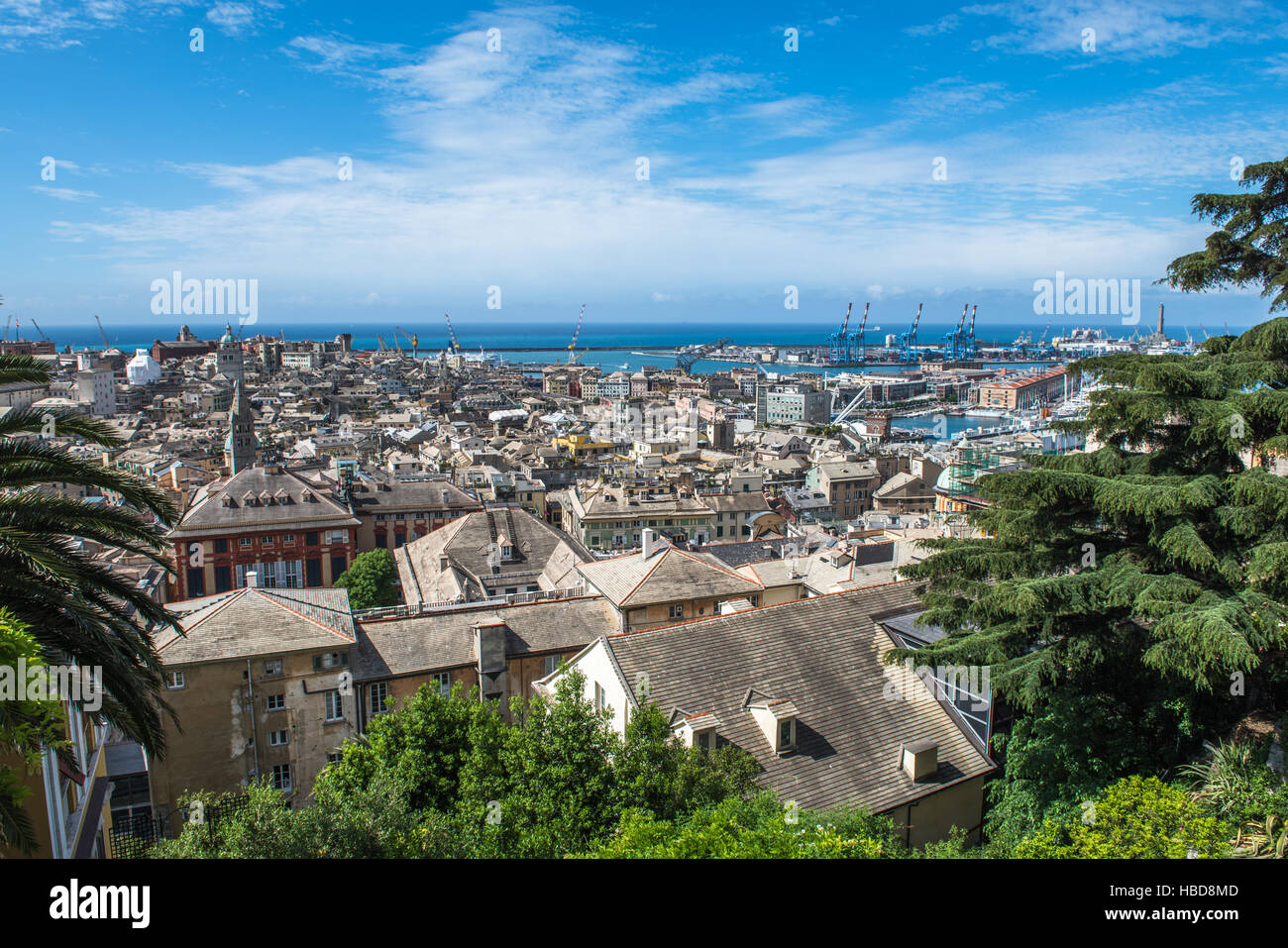 Costa ligure immagini e fotografie stock ad alta risoluzione - Alamy