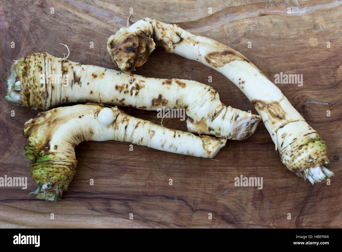 Pianta di rafano immagini e fotografie stock ad alta risoluzione - Alamy