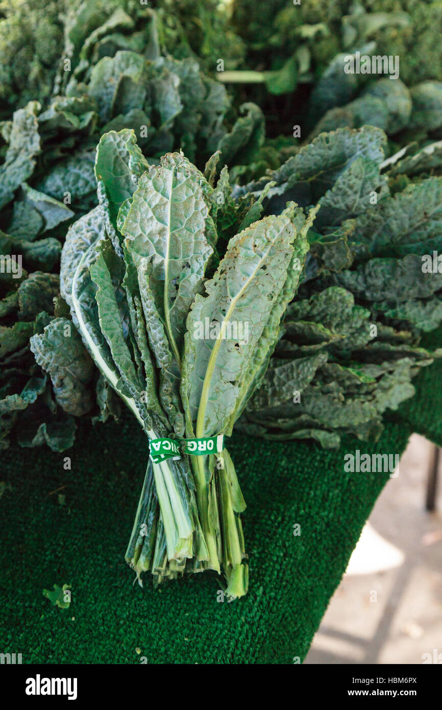 Cavolo riccio verde immagini e fotografie stock ad alta risoluzione - Alamy