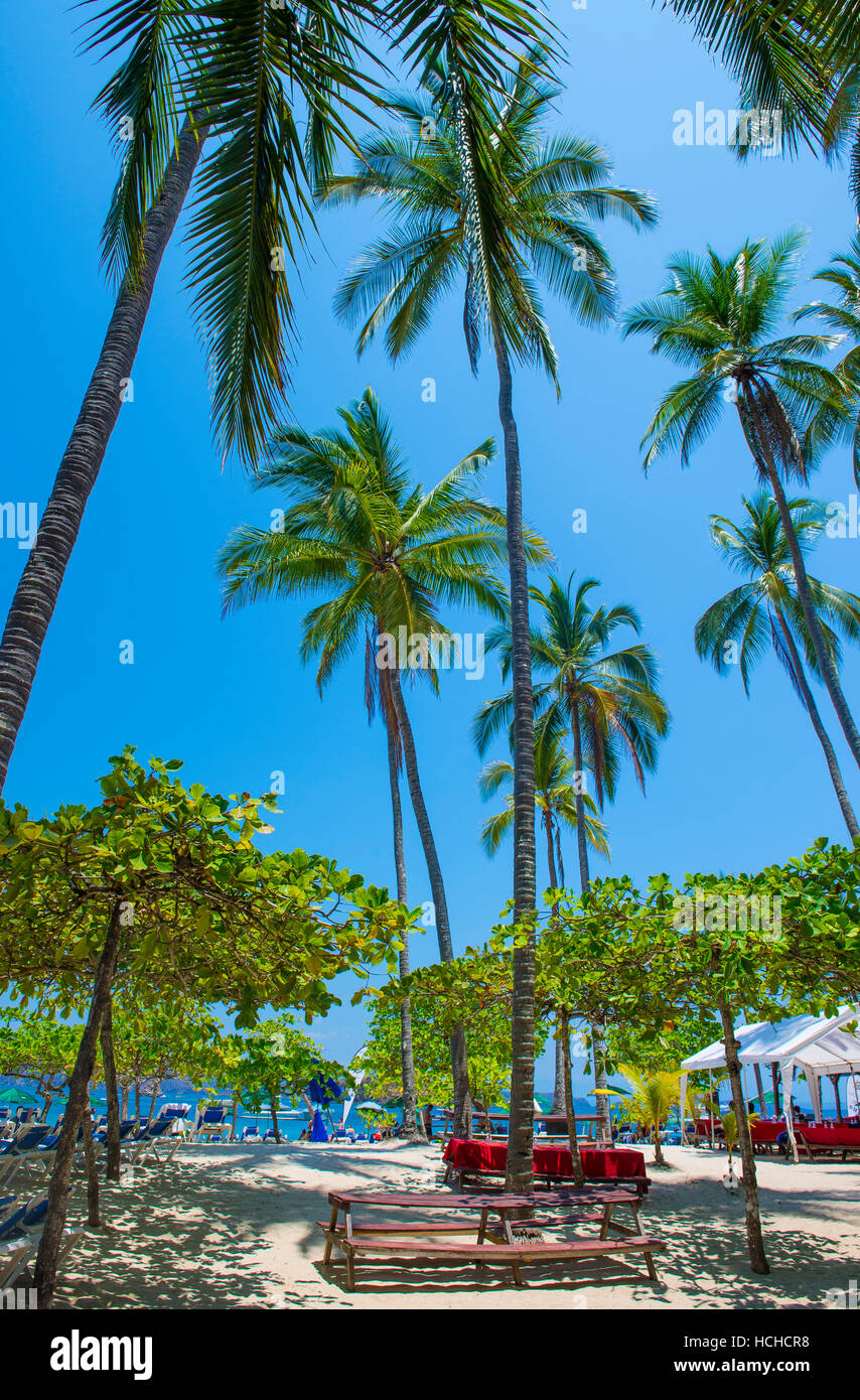 Isla tortuga immagini e fotografie stock ad alta risoluzione - Alamy