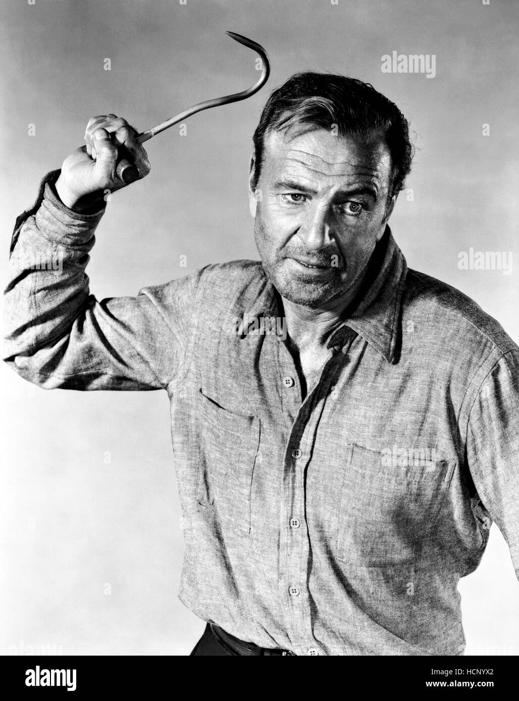 The wreck of the mary deare immagini e fotografie stock ad alta ...