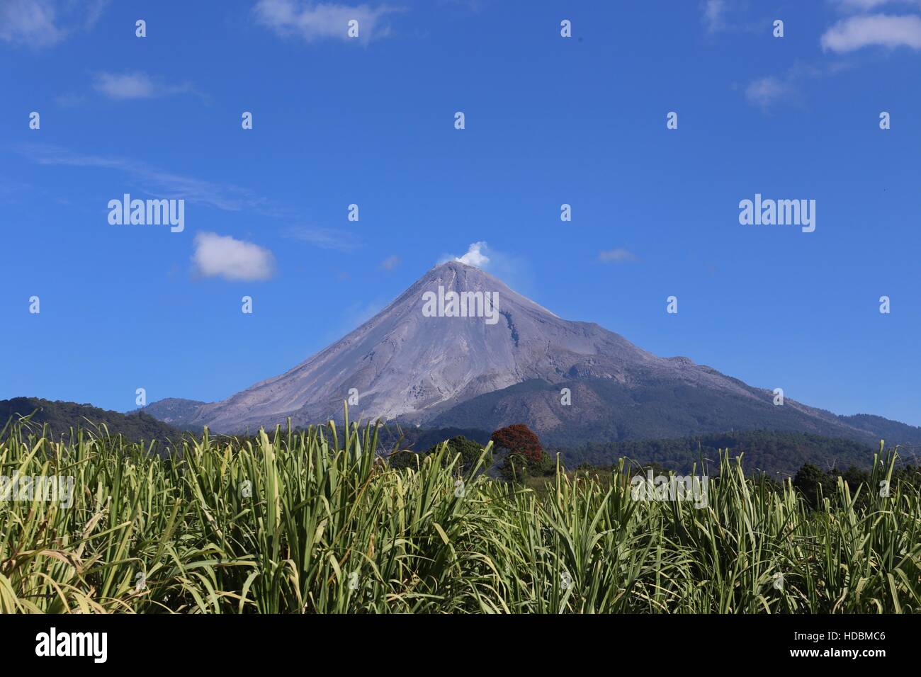 Volcan de colima immagini e fotografie stock ad alta risoluzione - Alamy