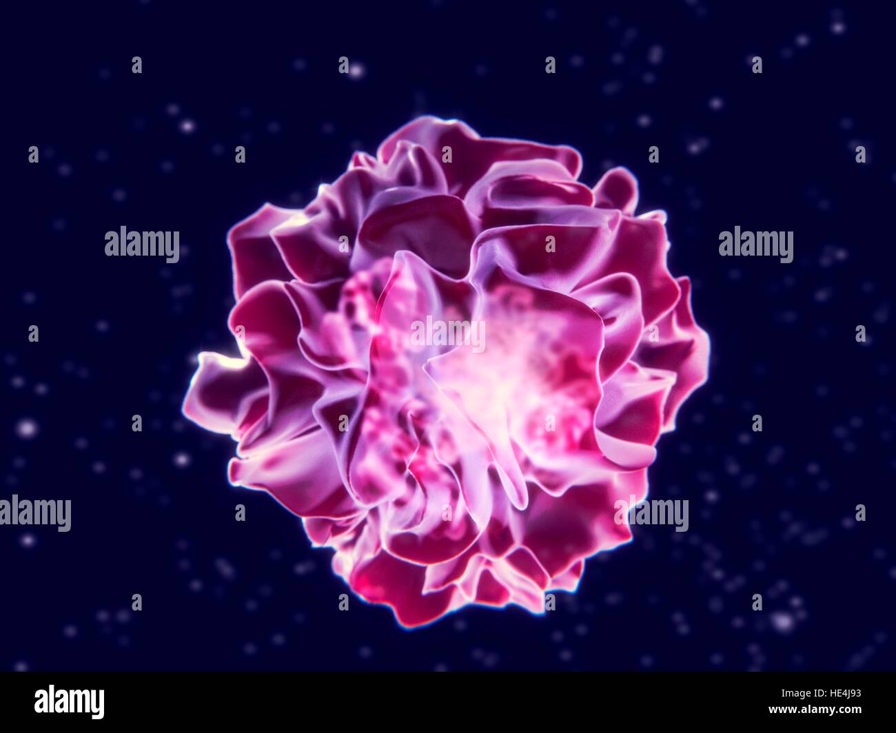 Cellula dendritica, illustrazione. Le cellule dendritiche sono cellule ...