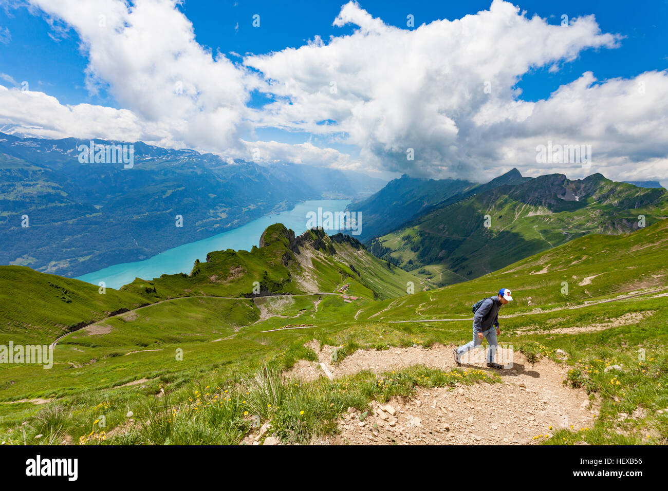 Sentiero di montagna immagini e fotografie stock ad alta risoluzione ...