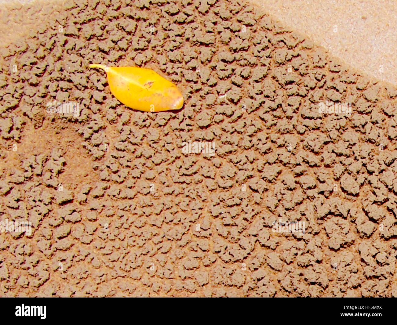 Beach sand surface texture natural backgrounds and textures sea ...
