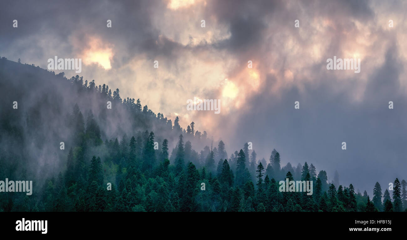 Mondi paralleli immagini e fotografie stock ad alta risoluzione - Alamy