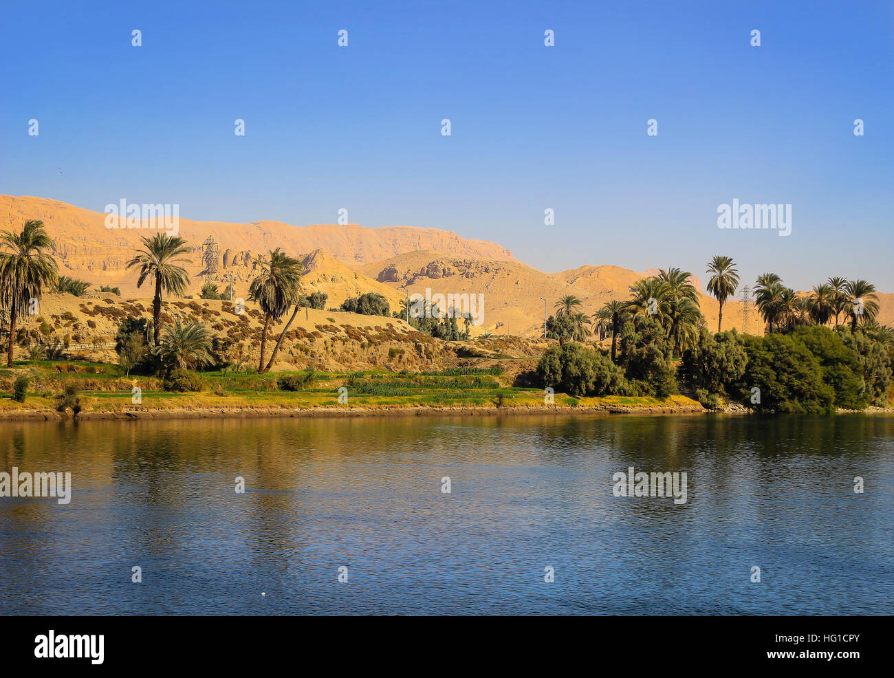 Oasi di palme lungo la riva del fiume Nilo in Egitto, Africa Foto stock ...
