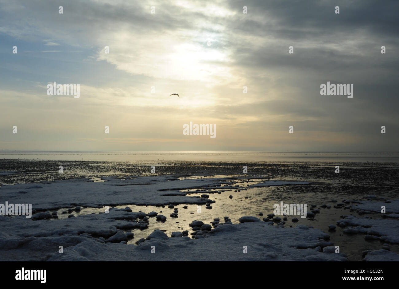 Spiaggia 1 distesa piatta vista di sfondo a sinistra immagini e ...