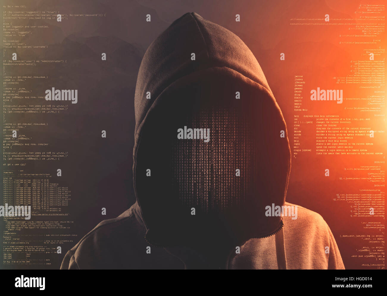 Pirata informatico immagini e fotografie stock ad alta risoluzione - Alamy