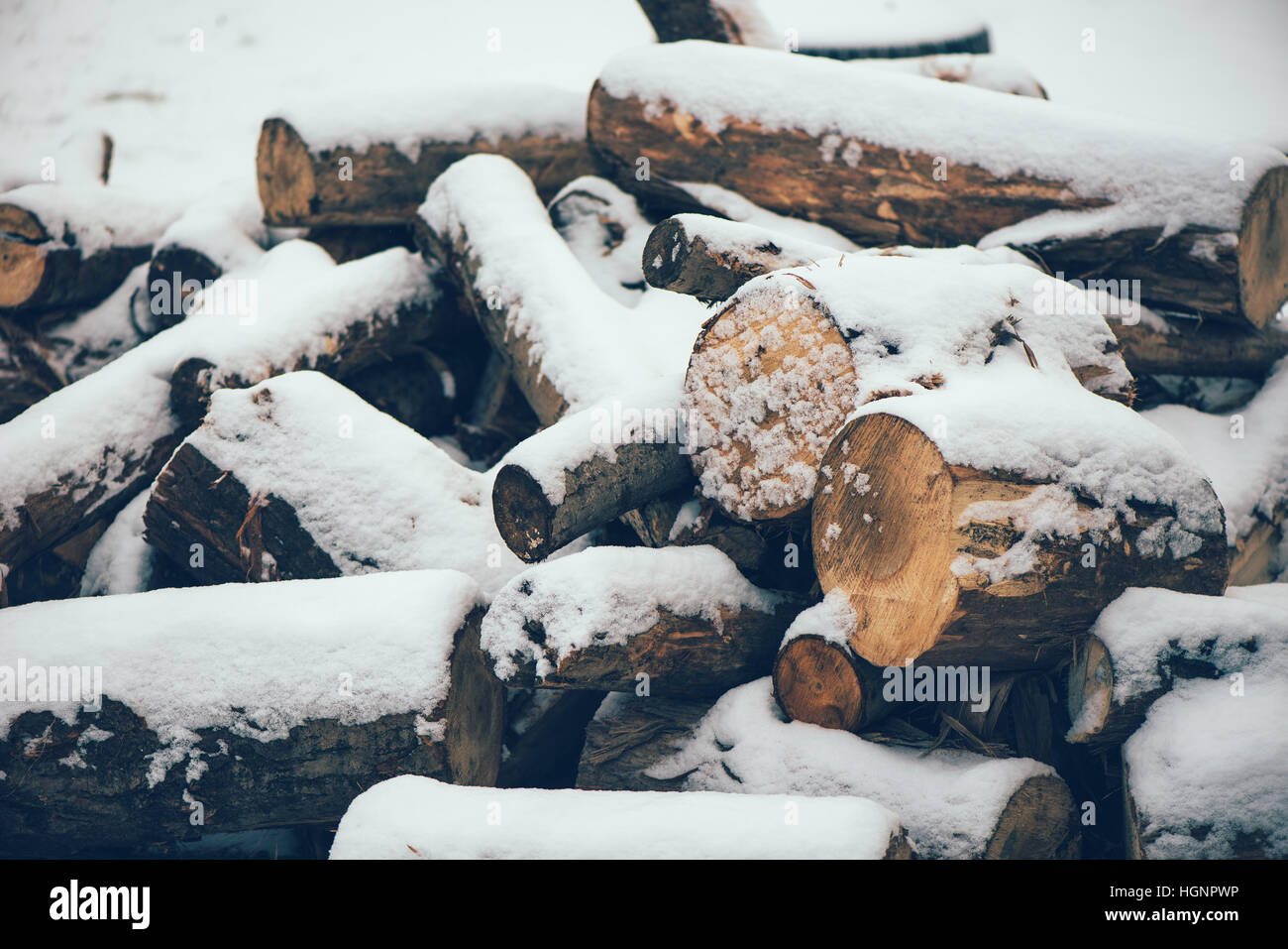 Legno tagliato immagini e fotografie stock ad alta risoluzione - Alamy
