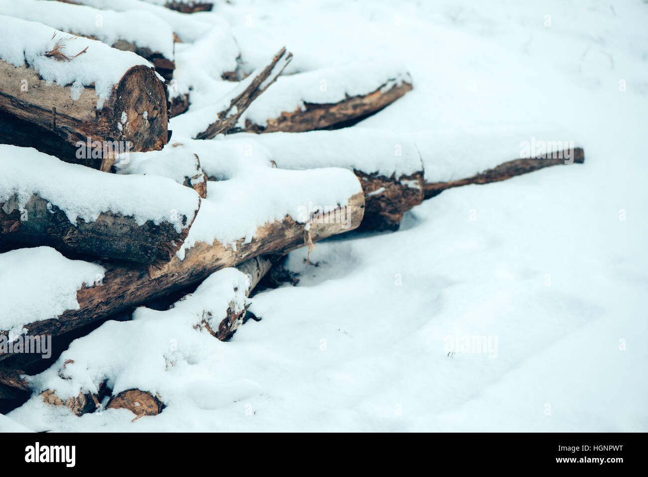 Legno tagliato immagini e fotografie stock ad alta risoluzione - Alamy