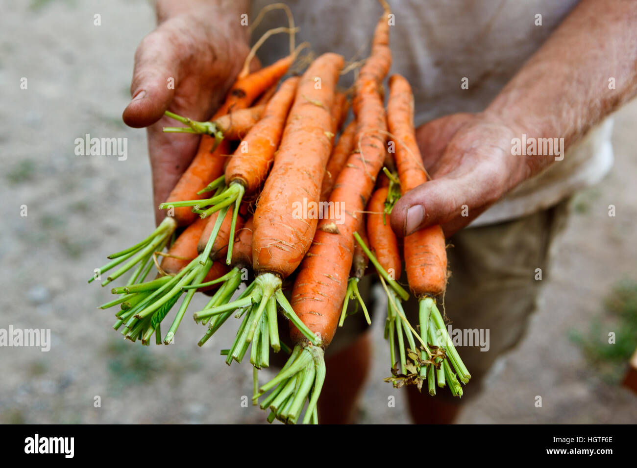 Nate frigard immagini e fotografie stock ad alta risoluzione - Alamy