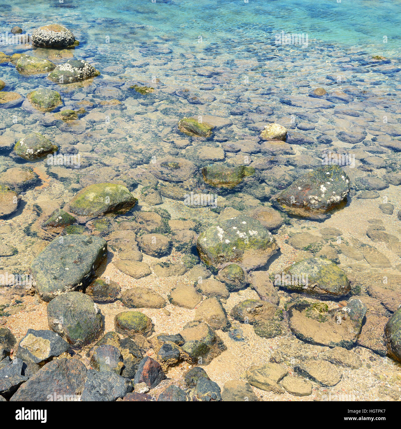 Fondale marino coralli immagini e fotografie stock ad alta risoluzione ...